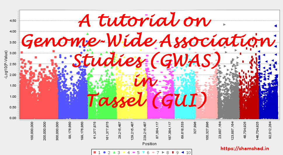 A tutorial on Genome-Wide Association Studies (GWAS) in Tassel (GUI ...